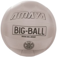 Big ball - 122 cm - Lichtgrijs MDsport