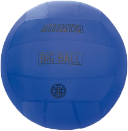 Big ball - 75 cm - Blauw MDsport